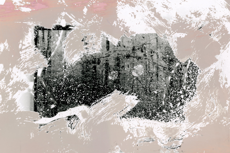 Chemigrams & Chemograms – Carol Record | Portfolio