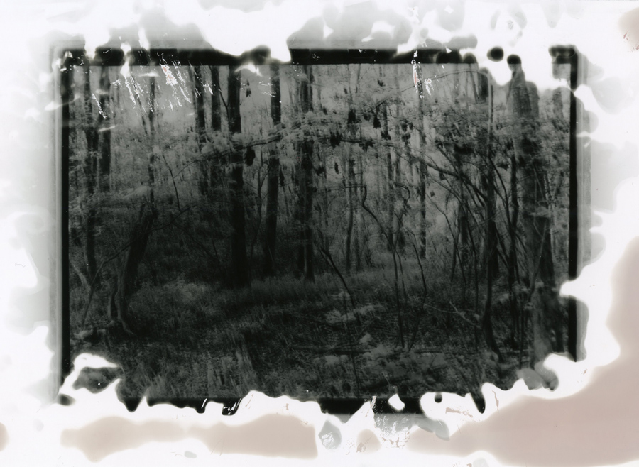 Chemigrams & Chemograms – Carol Record | Portfolio