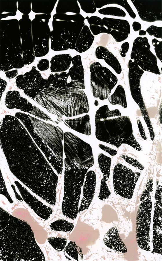 Chemigrams & Chemograms – Carol Record | Portfolio